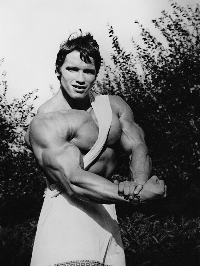 Arnold Schwarzenegger Hercules