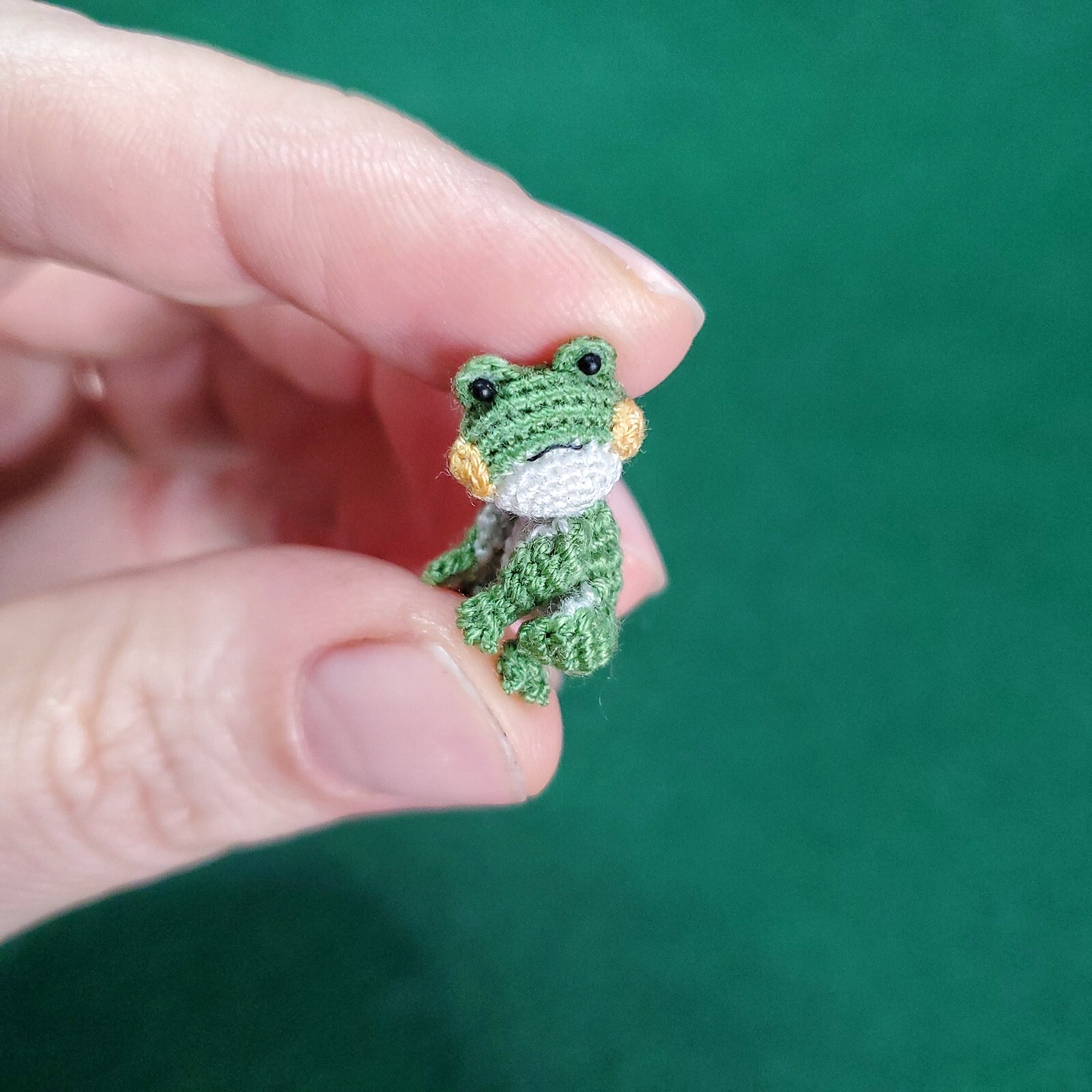 Custom micro Frog. Dollhouse miniature. Doll pet tiny funny frog ...