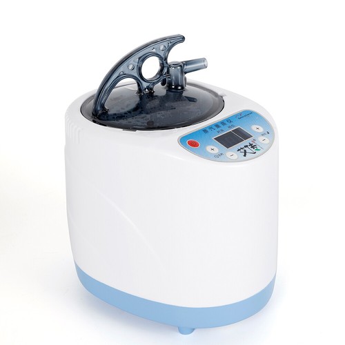 2L Portable Sauna Steamer Pot Machine Home Spa Body Slim Detox Therapy ...