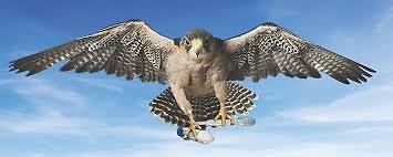 FALCON 1791DT-4FT-DC13 48 RIM TOUCHBAR X PULL | eBay