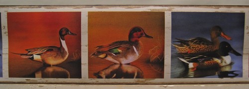DUCKS DUCK HUNTING Wallpaper Border 6 3/4 " | eBay