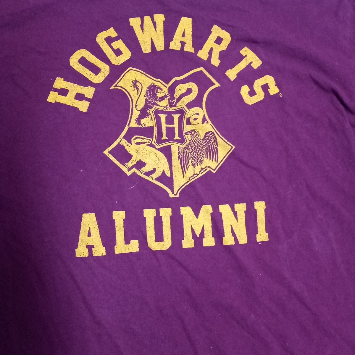 Harry Potter Extra Large Maroon T-shirt Hogwarts Alum… - Gem