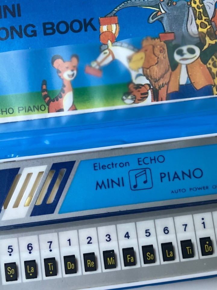 VINTAGE ELECTRON ECHO 80's MINI PIANO SONG BOOK; WORKING CONDITION | eBay