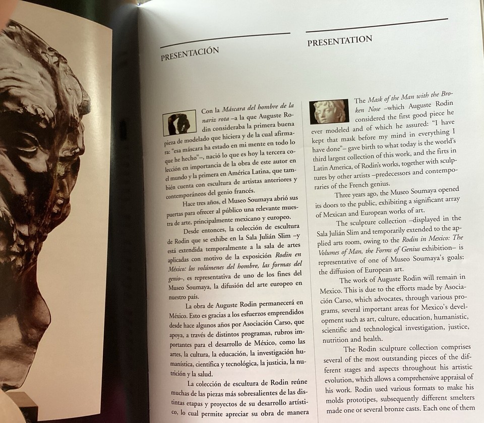 RODIN EN MEXICO: COLECCION DE ESCULTURA EUROPEA DE LOS By John L ...