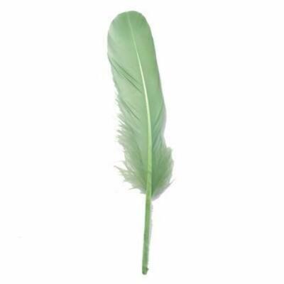 Goose Pointer Feathers 10 grams - Soft Green | eBay UK