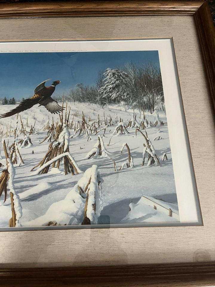 David Maass Print: " A TOUCH OF WINTER- PHEASANTS" Prof Framed And ...