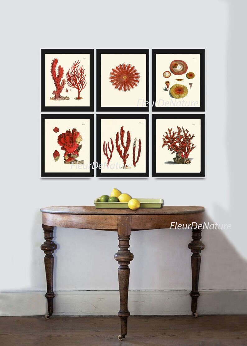 Red Coral Prints Wall Art Set of 6 Beautiful Antique Vintage Sea Ocean ...