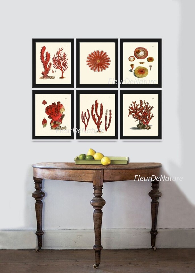 Red Coral Prints Wall Art Set of 6 Beautiful Antique Vintage Sea Ocean ...