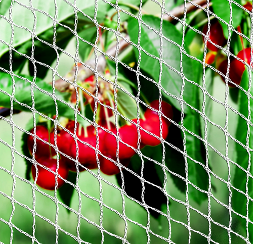 Bird Proof Netting Fruit Trees Vegetables 4m x 10m WHITE 5 mm Aperture ...