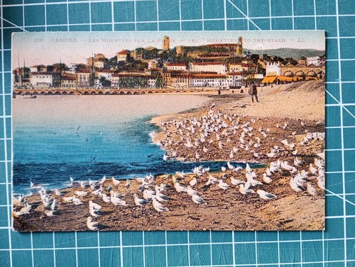 xf185 CPA circa 1920 Cannes - les mouettes sur la plage | eBay
