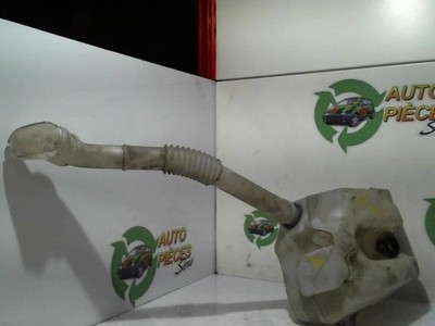 Vase de lave glace RENAULT SCENIC 2 PHASE 1 7701207665 | eBay