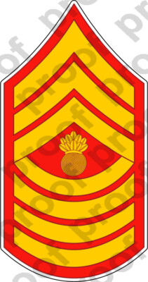 STICKER RANK USMC DB E9 MASTER GUNNERY SERGEANT ooo USMC Lisc No 20187 ...