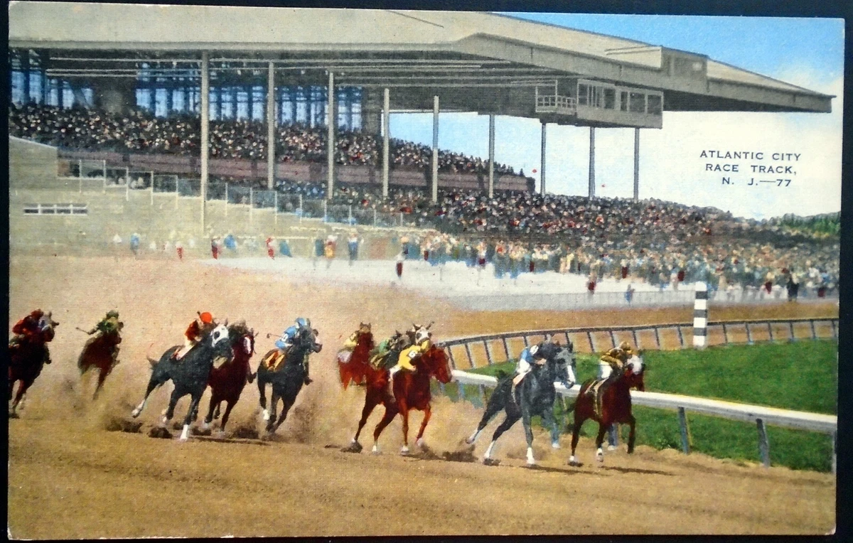 Black Thoroughbred Racing