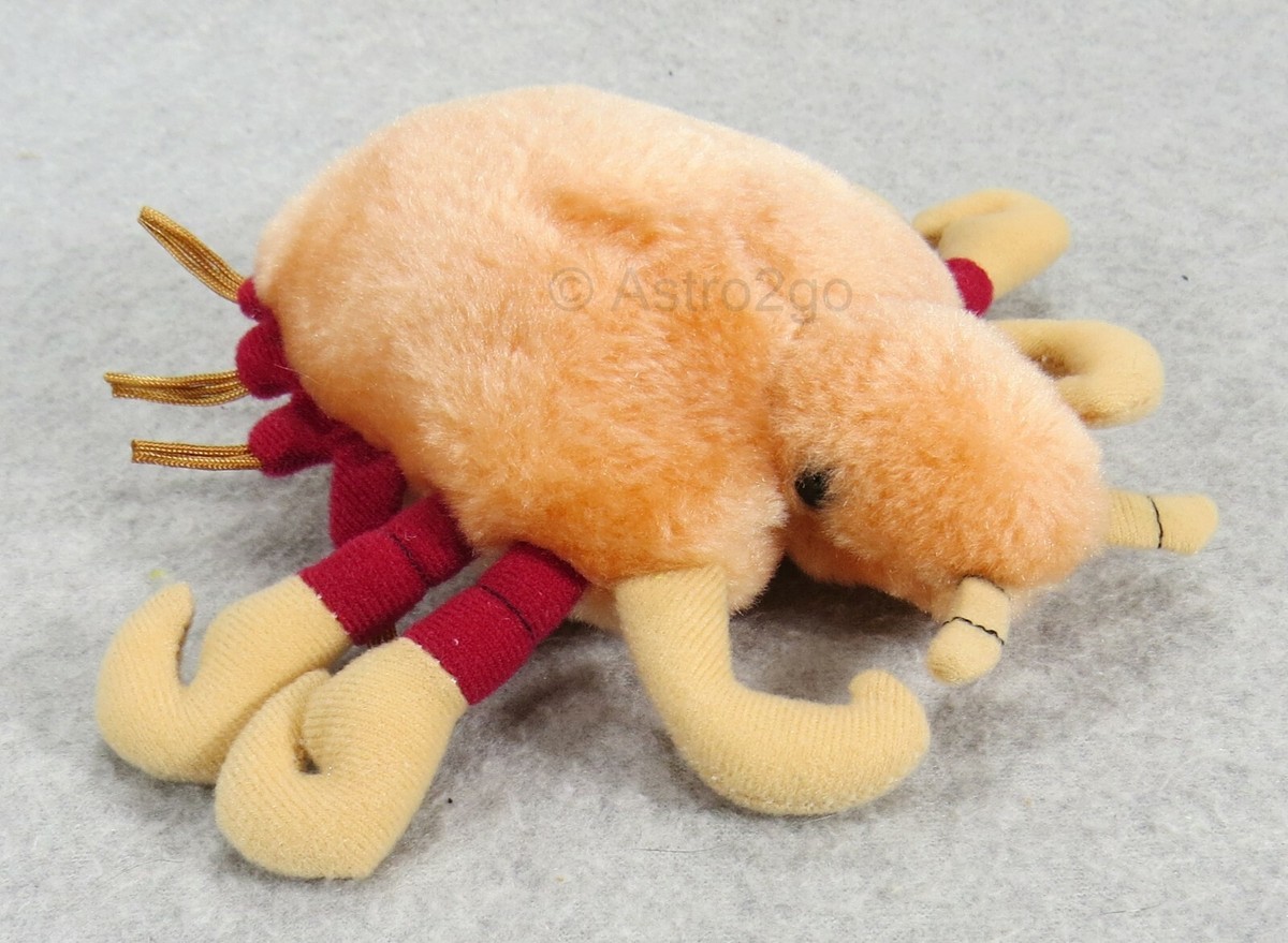 Std Pictures Of Crabs