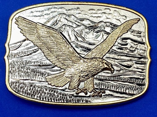 Patriotic America Eagle Flying High over Mountains Numbered two tone ...