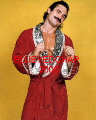 RICK RUDE WRESTLER 8 X 10 WRESTLING PHOTO NWA WWF | eBay