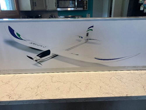 Parkzone Radian RC Glider Airplane - RTF Version | eBay