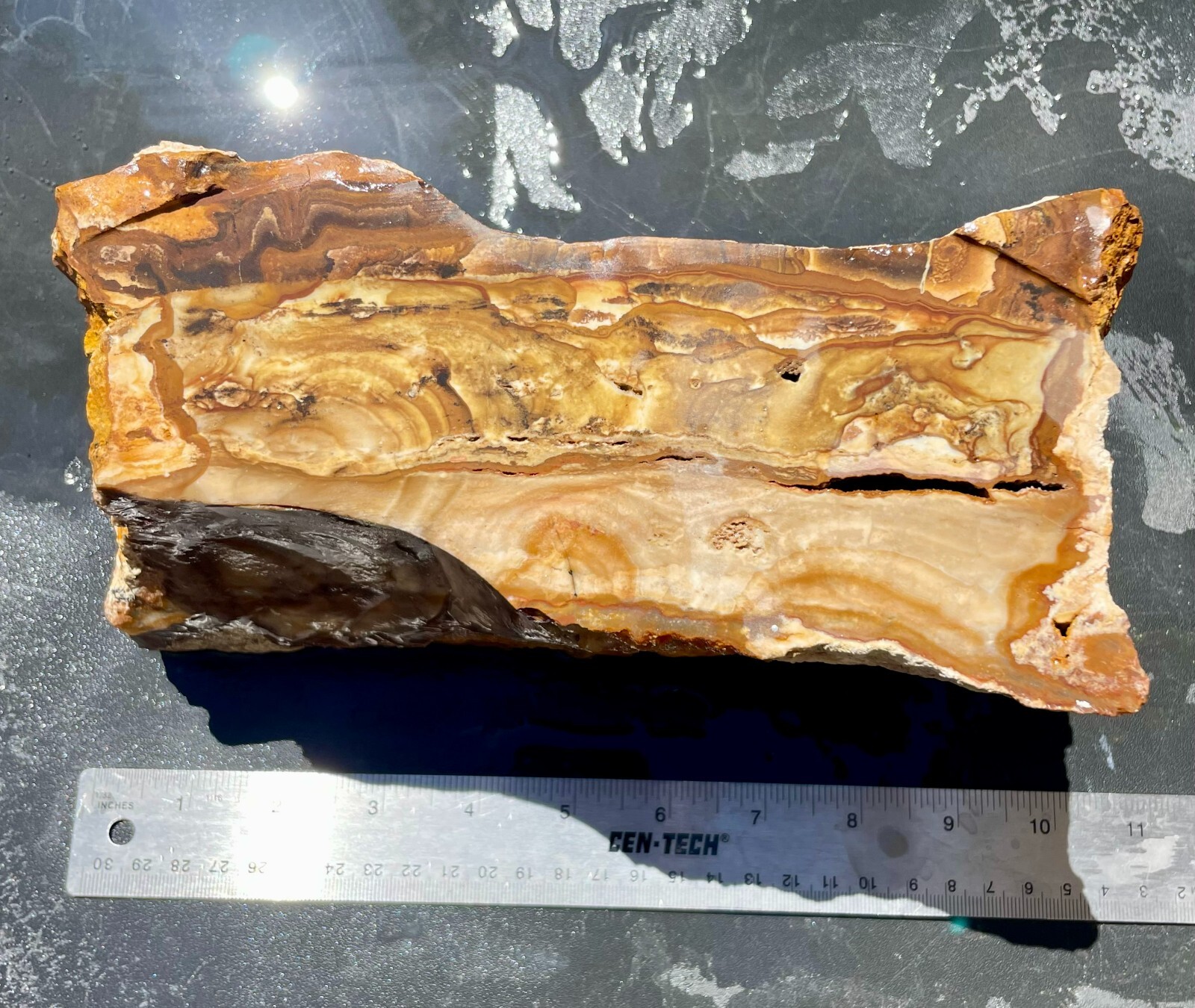 large piece of Blue Biggs jasper, rough Biggs Blue jasper piece 5 ...