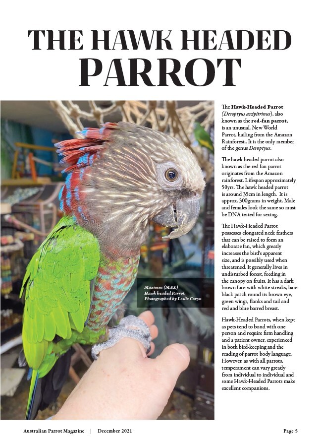 Parrot Magazine (AU) Glossy Full Colour Printed Magazine - 4 issues ...
