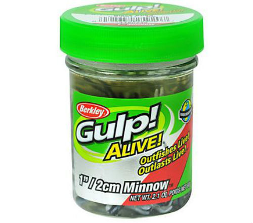 Berkley Gajmi1-smlt Gulp Alive Minnow 1in Smelt PK for sale online | eBay