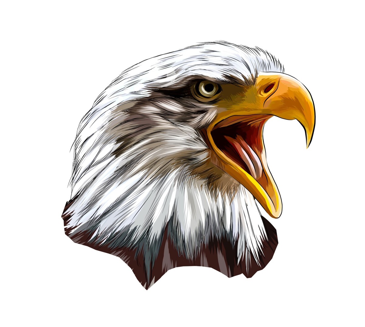 American Eagle Head