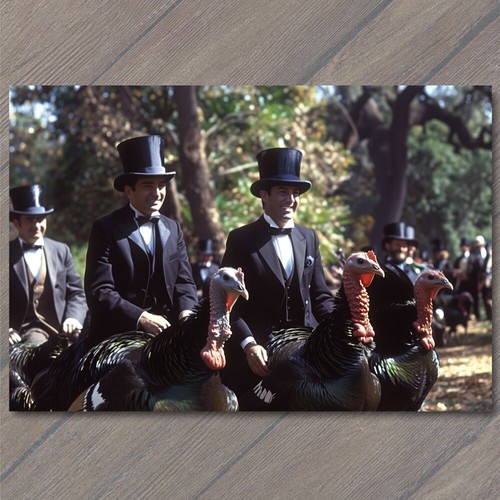 POSTCARD Turkey Riding Men Top Hat Old School Vibe Weird Strange Funny ...