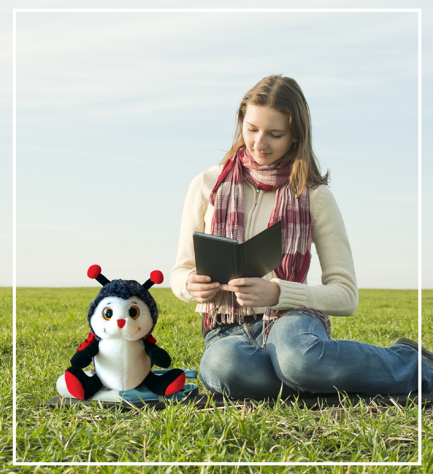 SUPER-SOFT PLUSH - SITTING LADYBUG | eBay