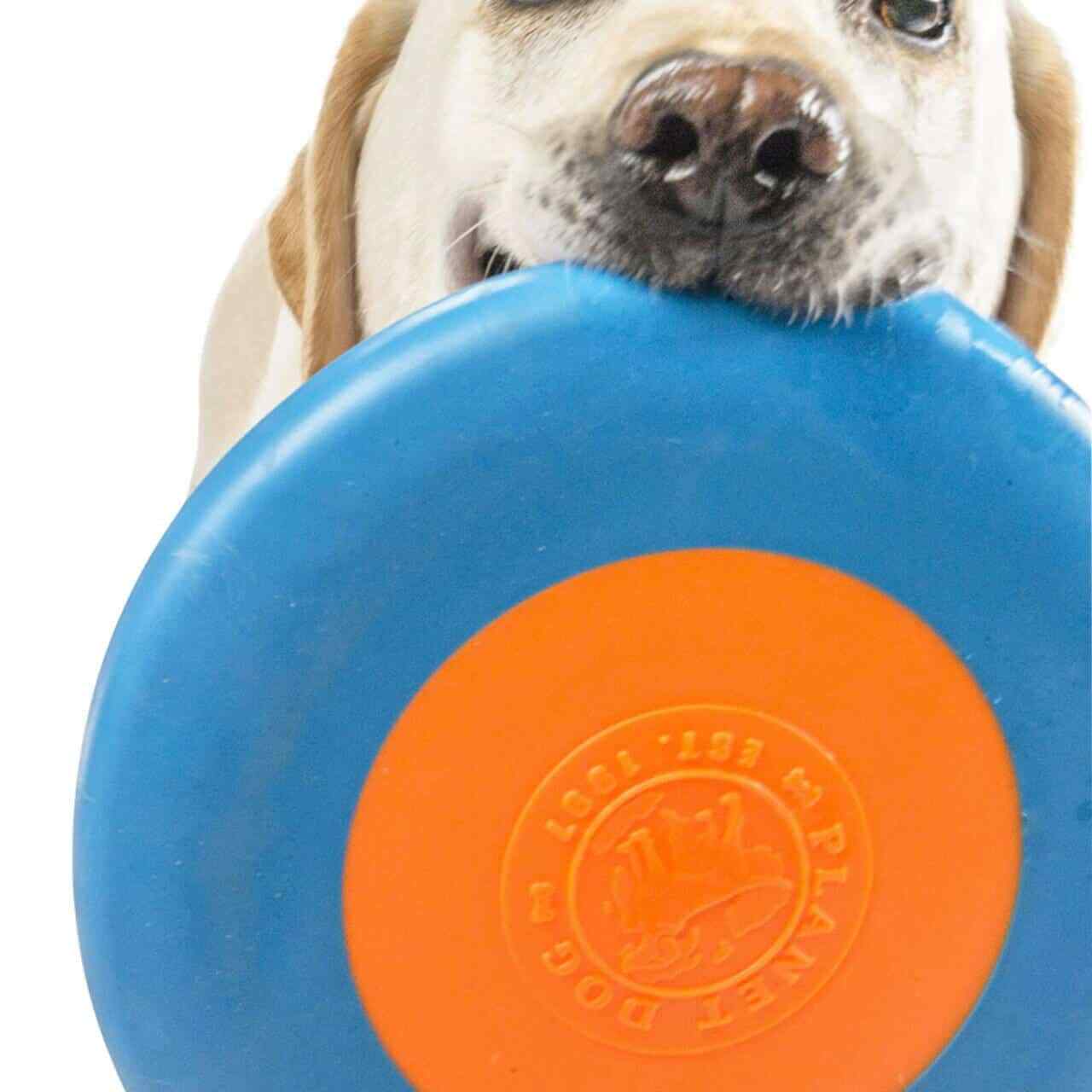 Dog Frisbee Planet Dog Orbee-Tuff Zoom Flyer Rubber Frisbee Disc Small ...
