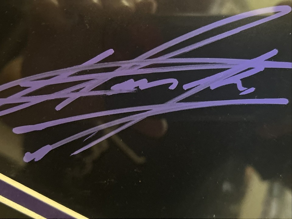 Undertaker Signed Autograph poster w/ Frame & Authentication By PSA | eBay