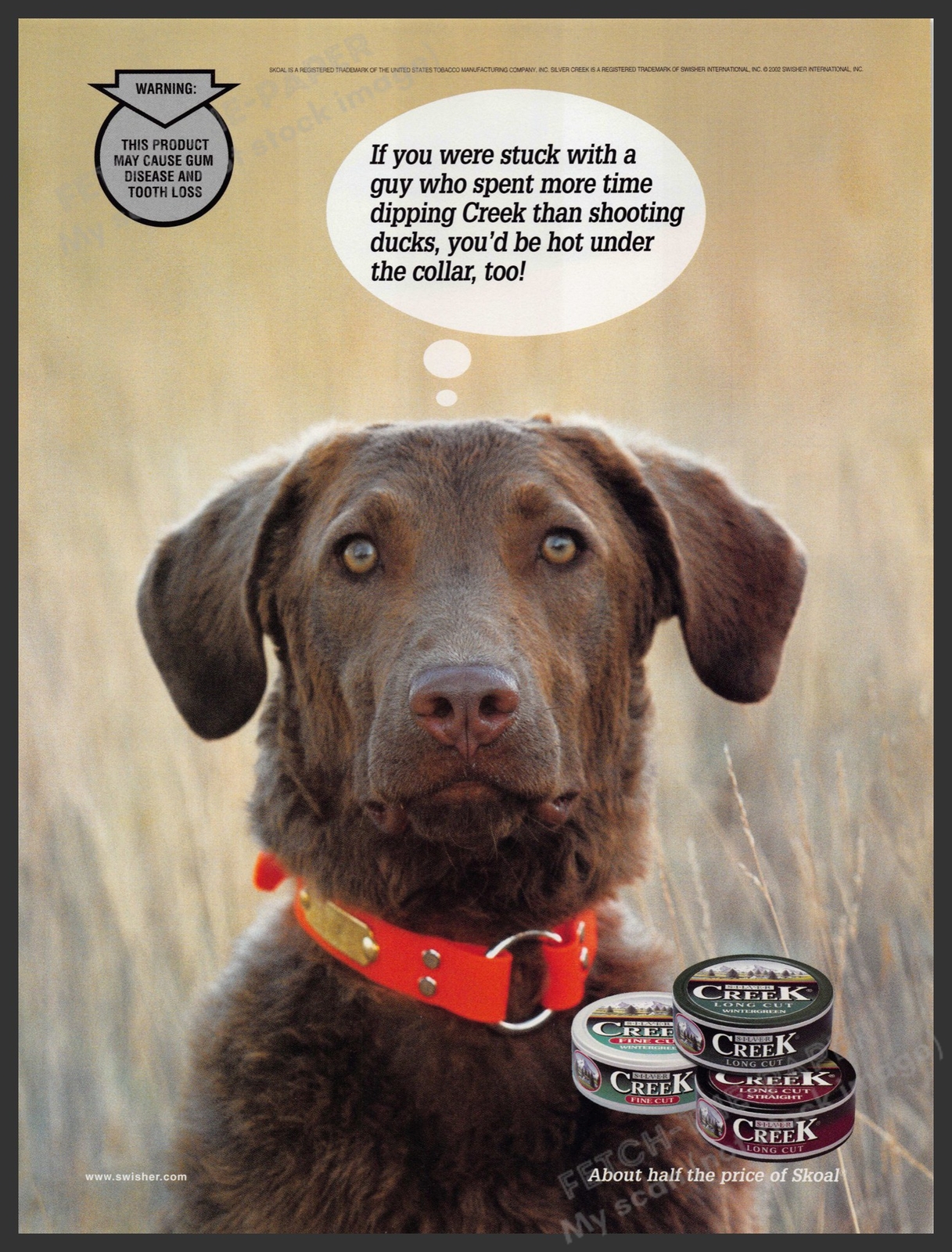 Silver Creek Chesapeake Bay Retriever Dog 2000s Print Advertisement ...