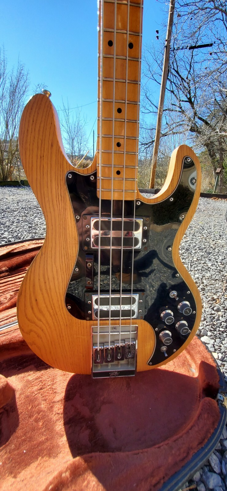 Ross Valory Lays Down the Bottom Line with the Peavey T-40 - Peavey ...