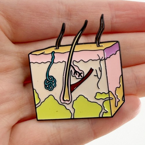 Skin Diagram Enamel Pin, Skin, Dermatologist, Anatomy | eBay UK