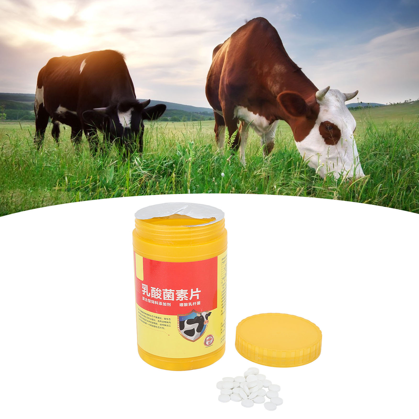 LT 1000pcs Probiotic Lactobacillus Tablets For Livestock Pigs Cows ...