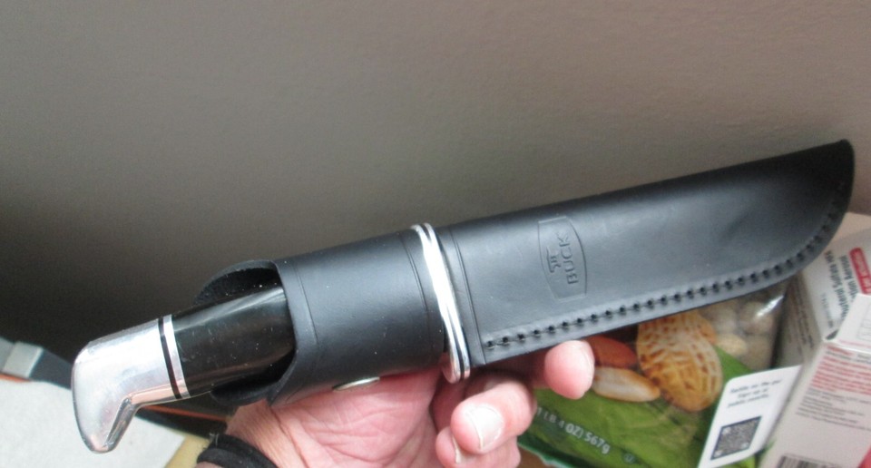 BUCK KNIVES USA 119 Fixed Blade Knife & Sheath | eBay