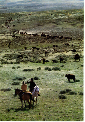 1986 Vintage Print Cowboys Montana Pasture Land Ranch Horse Cattle ...