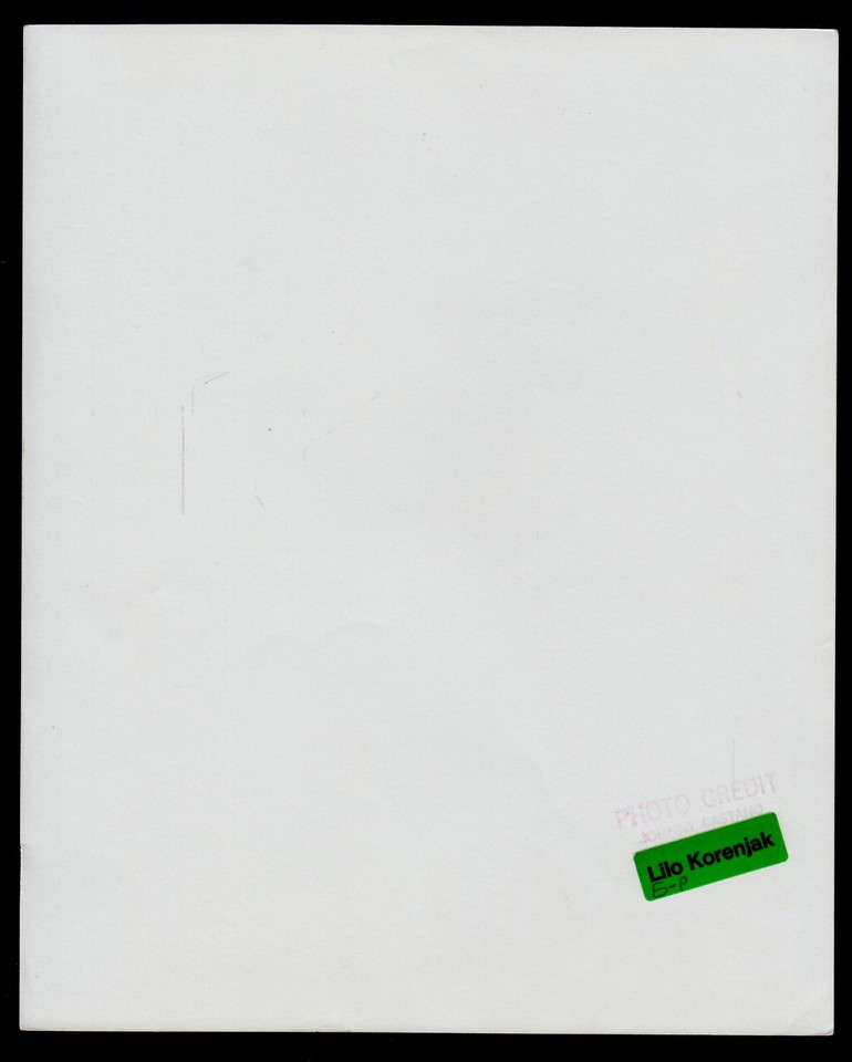 US PIN-UP Modell mit Netzstrümpfen * "L" 60s JOHNNY CASTANO Vintage | eBay