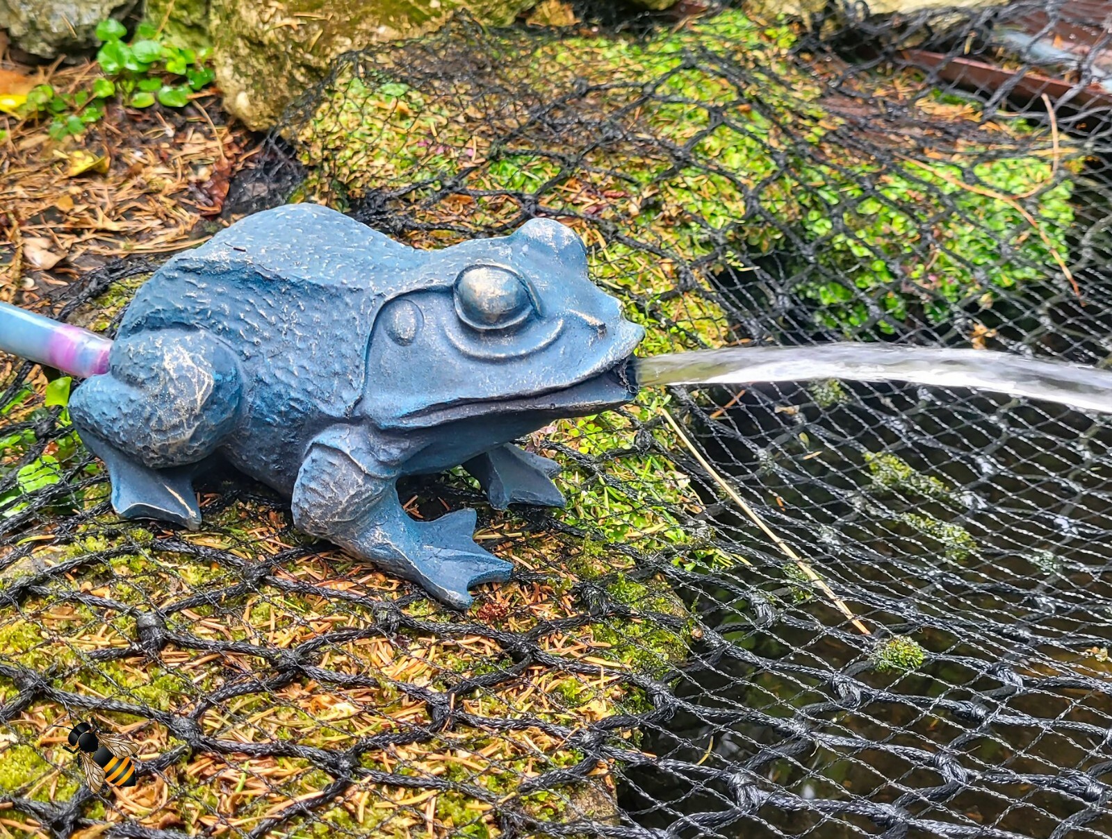 POND SPITTER FROG GARDEN WATER FOUNTAIN FEATURE STATUE 1.5M HOSE ...