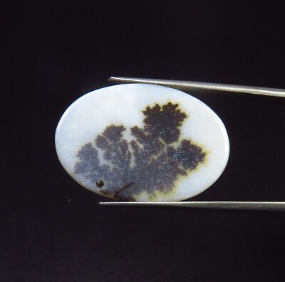 Natural Shazar Scenic Dendrite Cabs 27x19m Dendrite Agate Shazar Oval ...