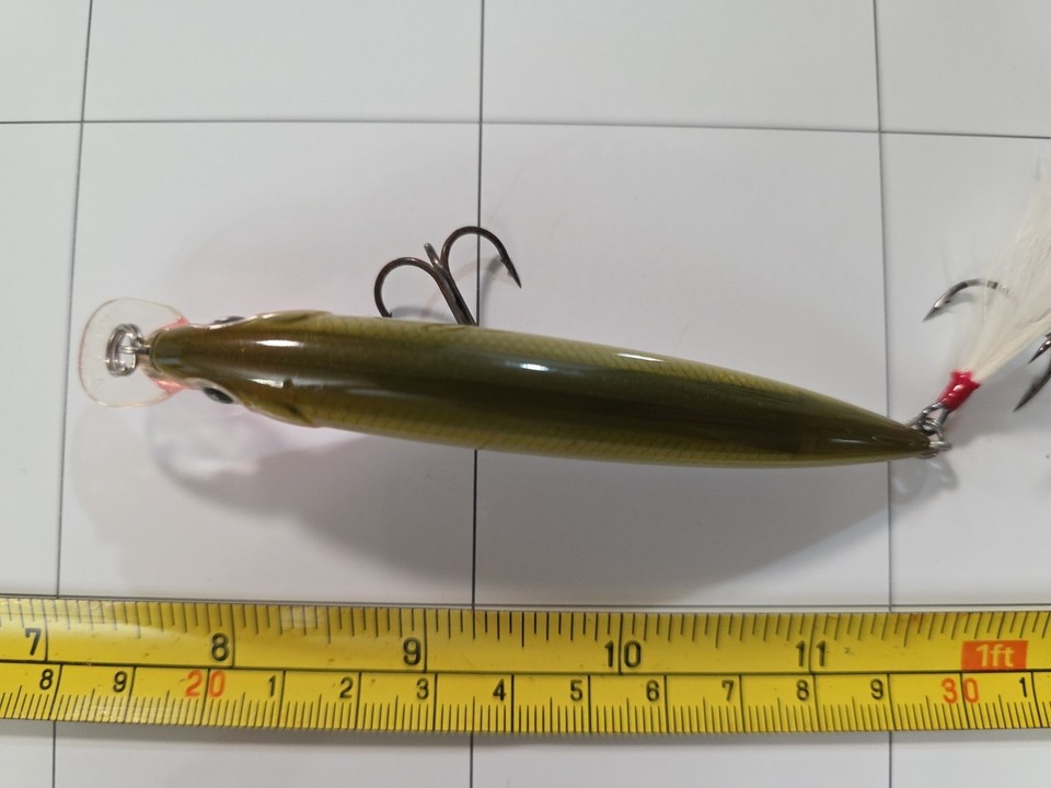 RAPALA X-RAP XR-10 JERKBAIT FISHING LURE OLIVE GREEN | eBay