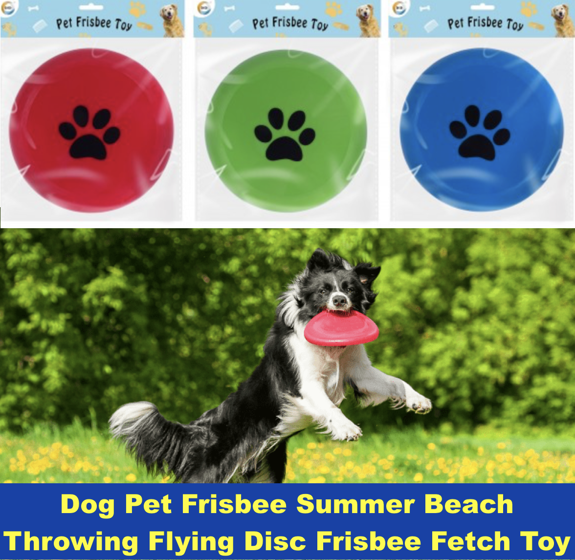 Dog Throwing Frisbee Frisbee Catching Dogs Compete For International