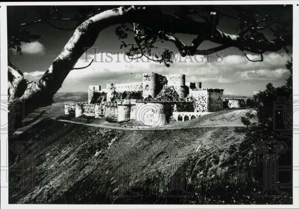 Krak Des Chevaliers - Baseball Card Database - Newest Products will be ...