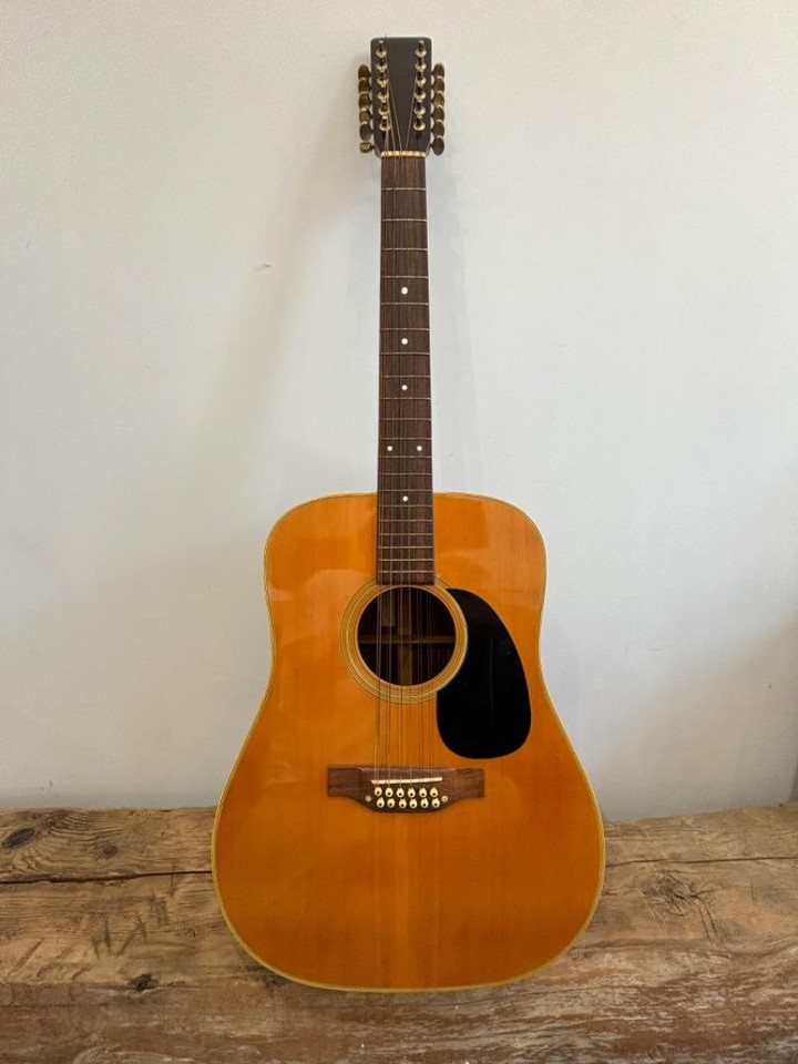 Takamine F-400 12-String Acoustic Guitar with Hard Case Light Gauge ...