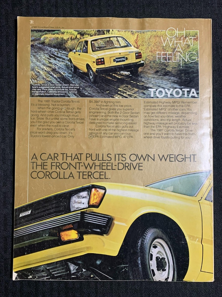 Jayne Modean Im Sport Spring Break (1983) DVD PLANET STORE