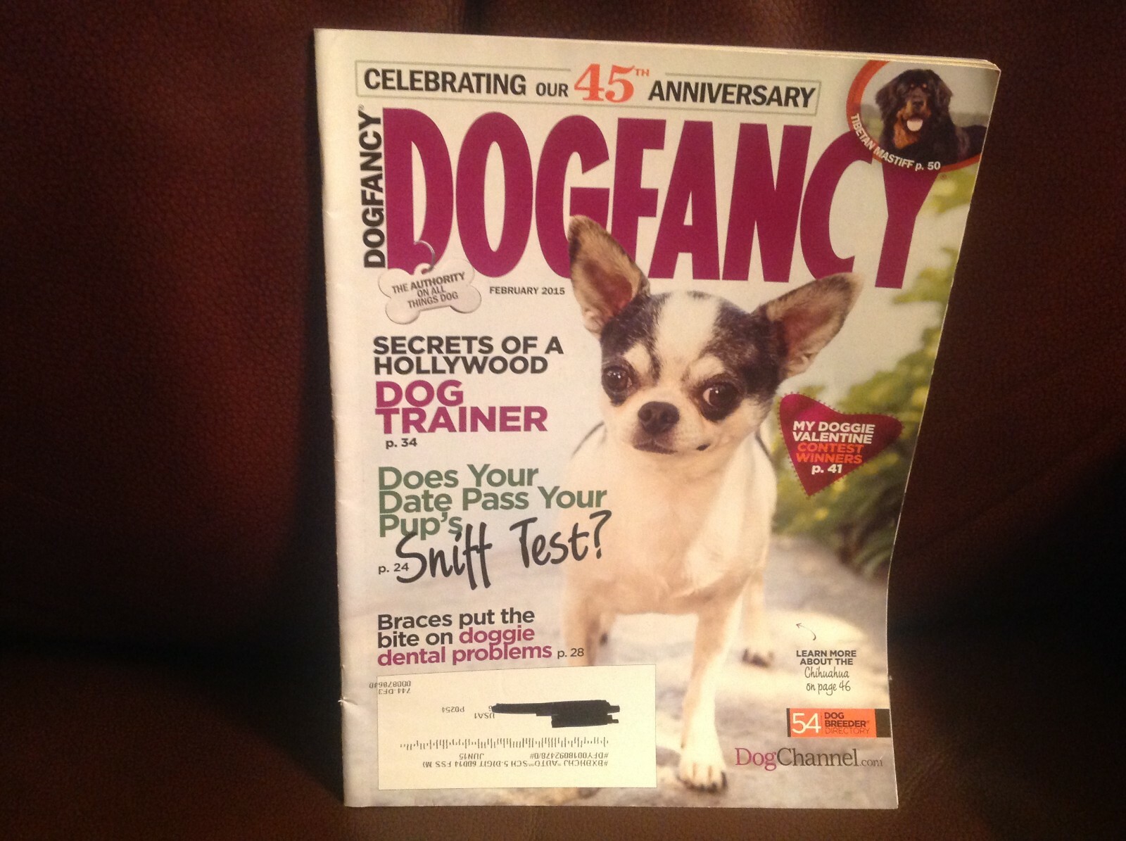 Dog Fancy Magazine February 2015 | eBay