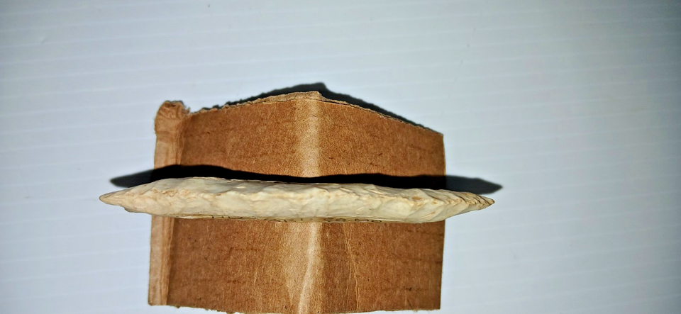 Paleo Native American Indian 3 5/16" Fishtail Point Arrowhead Howard Co ...