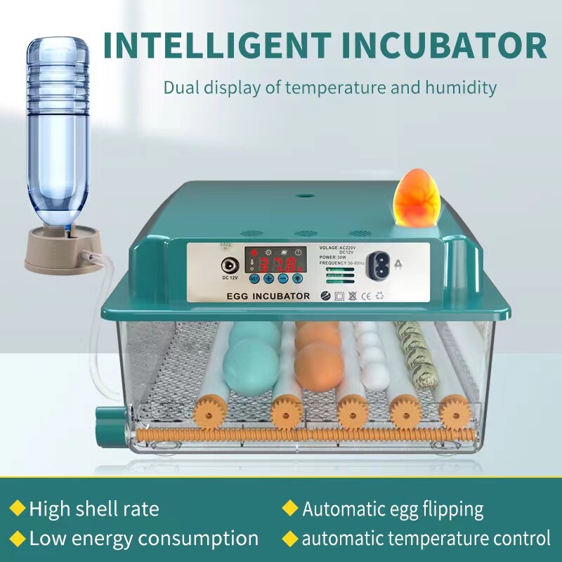 36 Eggs Incubator Chicken Incubators Auto Turning for Hatching Quail Dual Power | eBay