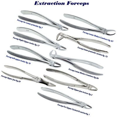 Root Extraction Forceps Dental Surgical luxating instruments Oral ...