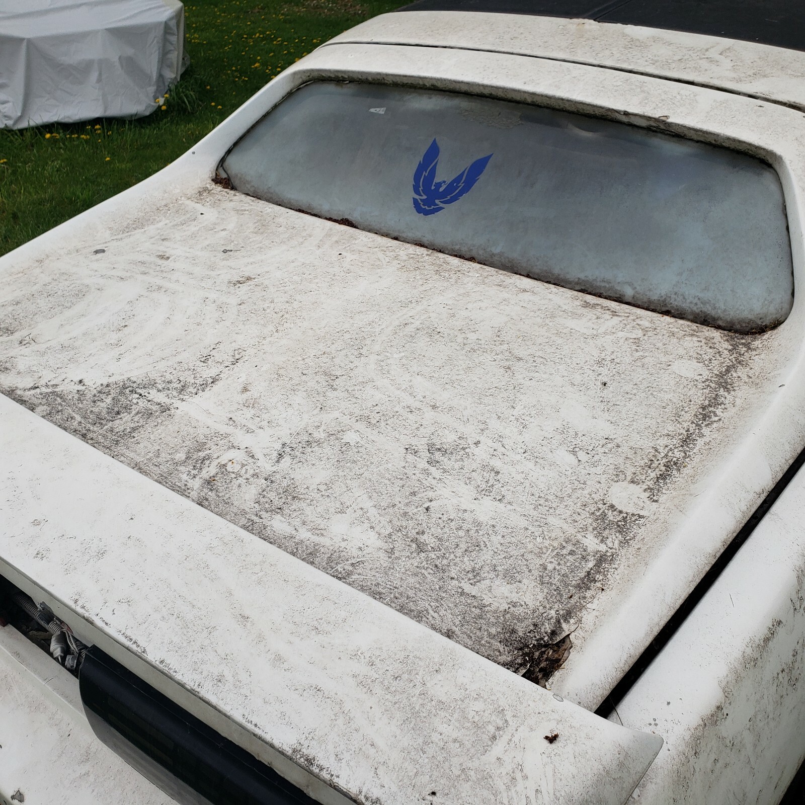 82-92 trans am gta firebird notchback hatch camaro z28 iroc z RARE RARE ...