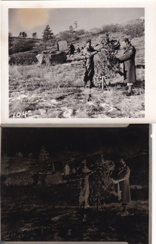 Original WWII Photo & Negative GI's MAKING DUMMY TREES 1944 Camp ...