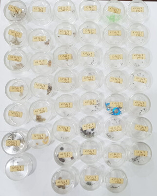 NOS Eta 2512-1 2512/1 Original Parts Genuine Original Model choose. | eBay